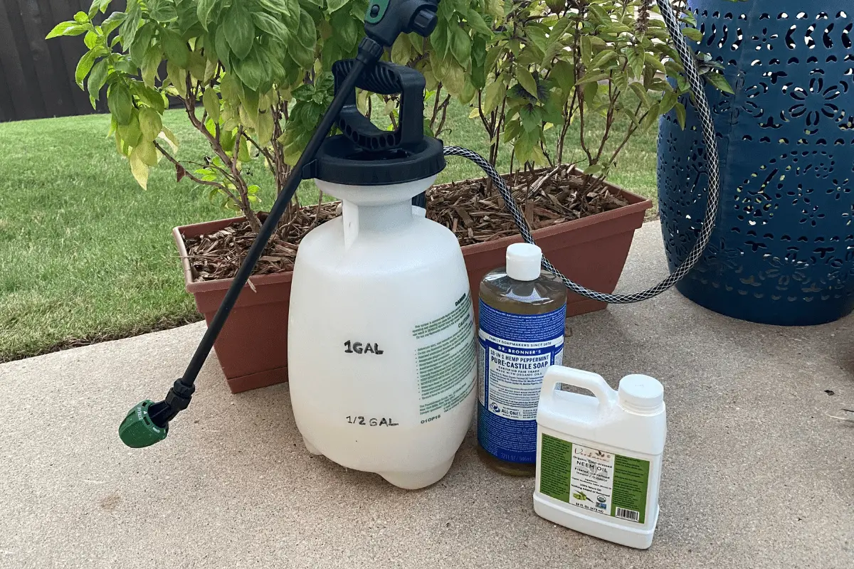 How Long Does It Take for Neem Oil to Kill Bugs? – Backyard Garden Geek