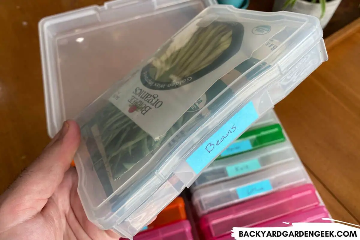 Will Refrigerated Seeds Germinate and Grow? – Backyard Garden Geek