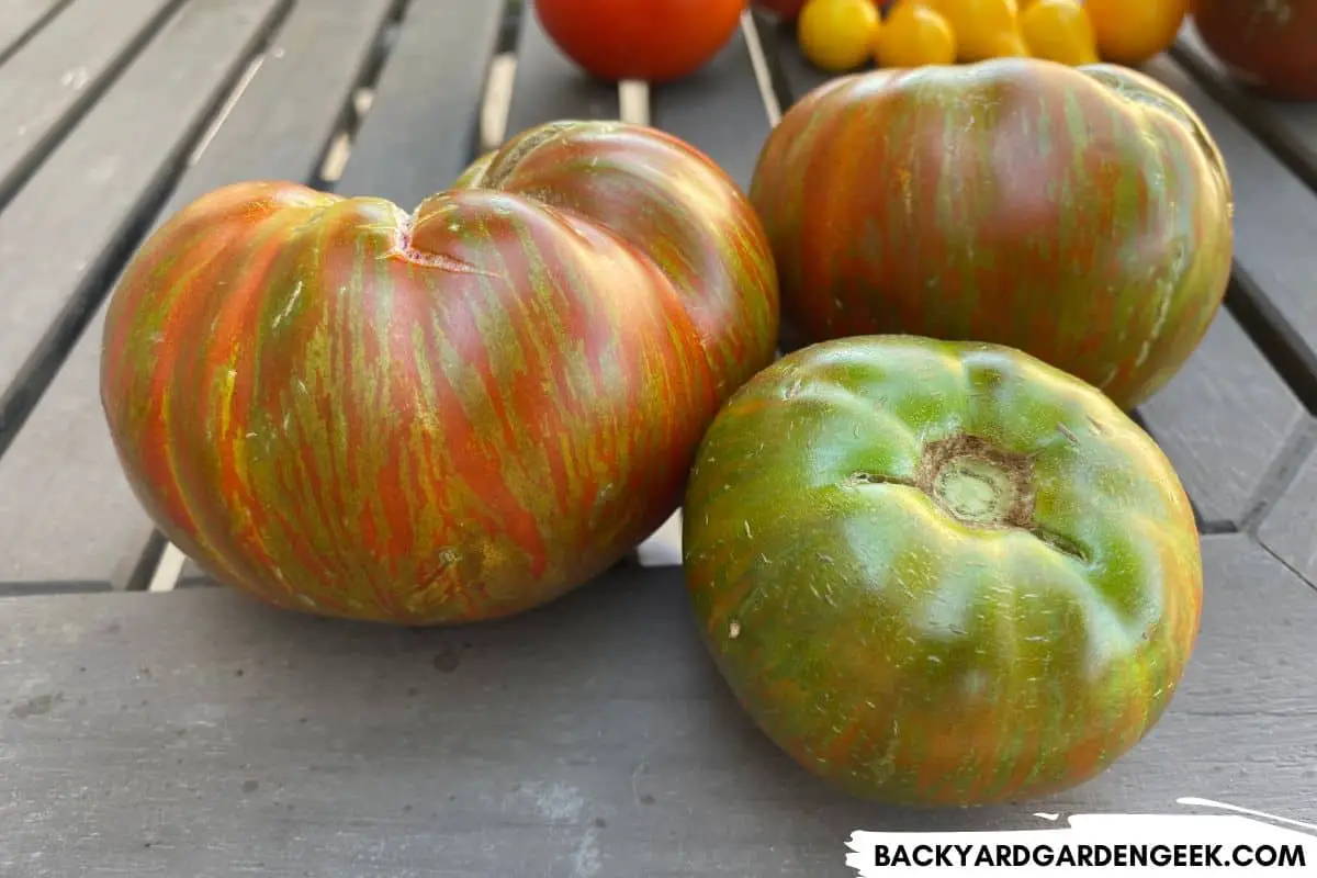 How Many Tomato Plants Do I Need for 3, 4, or 5 People? – Backyard Garden Geek