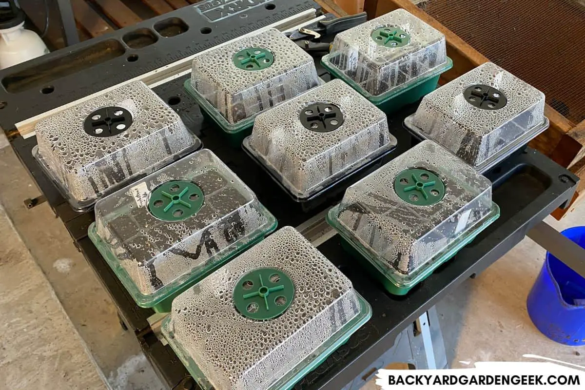 Covering Newly Planted Seeds: Will It Help Them Germinate? – Backyard ...