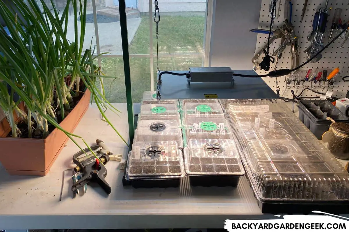 Covering Newly Planted Seeds: Will It Help Them Germinate? – Backyard ...