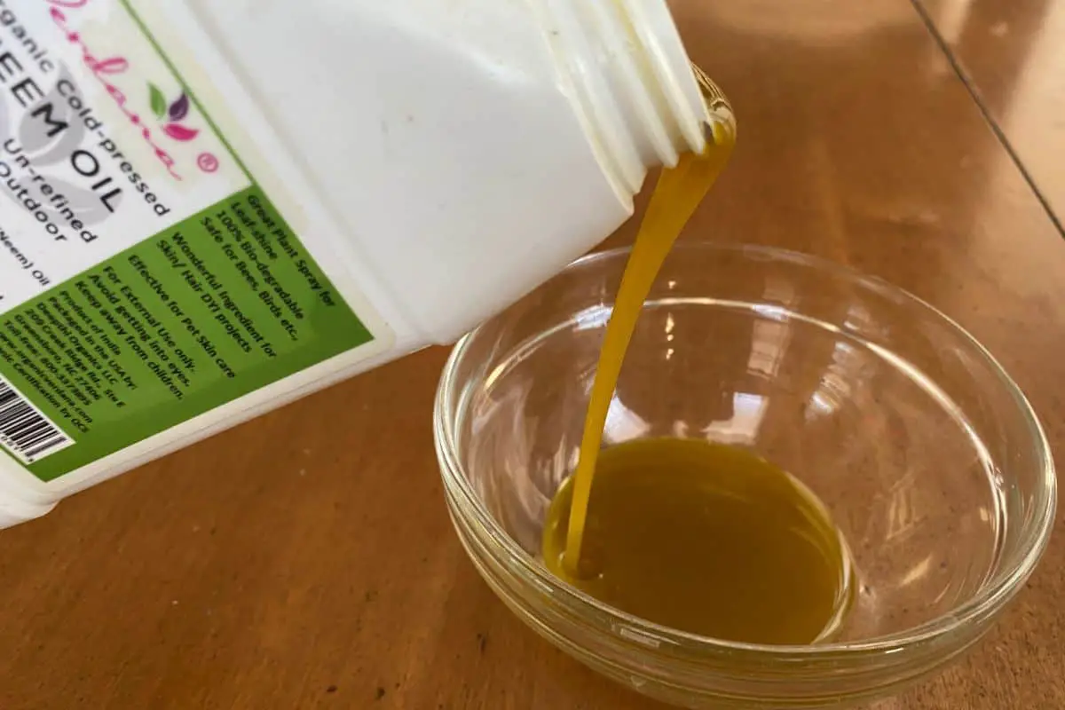 Will Neem Oil Kill or Repel Ants? All You Need to Know – Backyard ...
